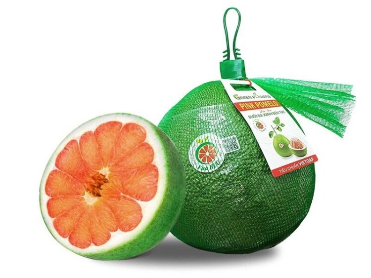 Pink Pomelo - GREEN POWERS
