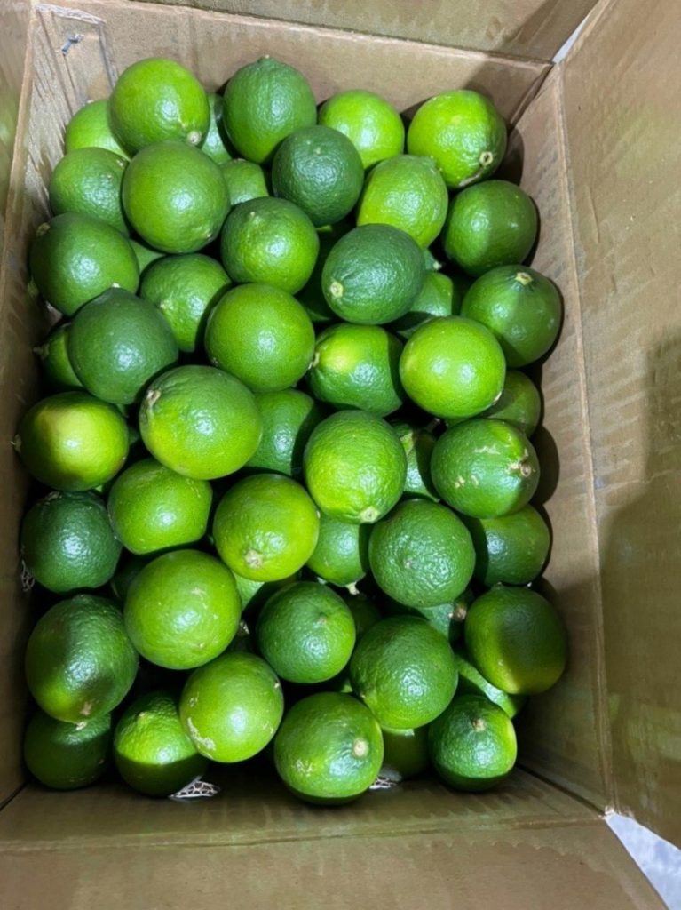 Seedless Lemons - GREEN POWERS